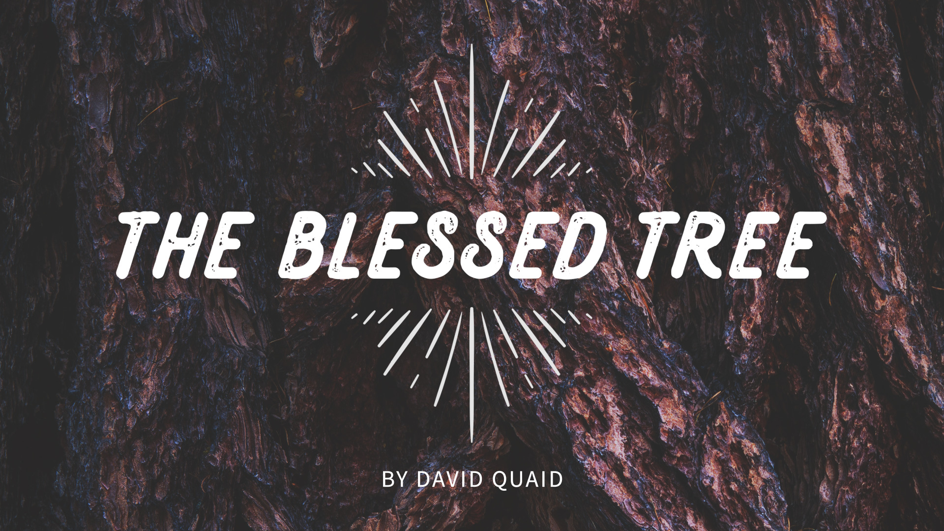 The Blessed Tree | Vineyard Church North Phoenix